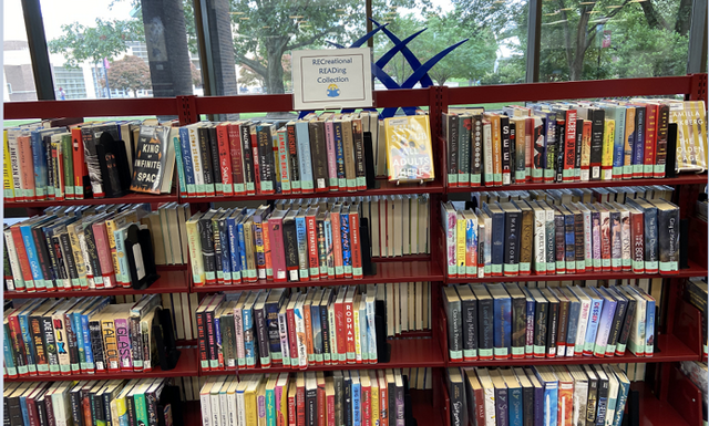 Looking for a Good Book? Read for Pleasure with New Brunswick Libraries ...